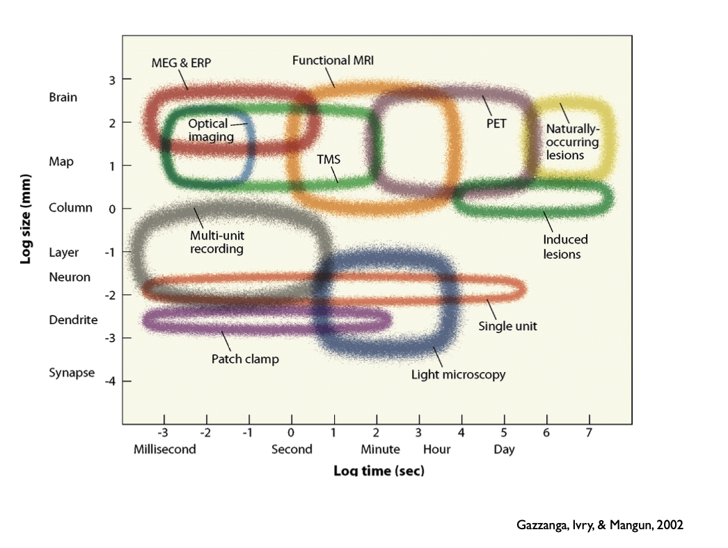 A brief introduction to EEG & ERP